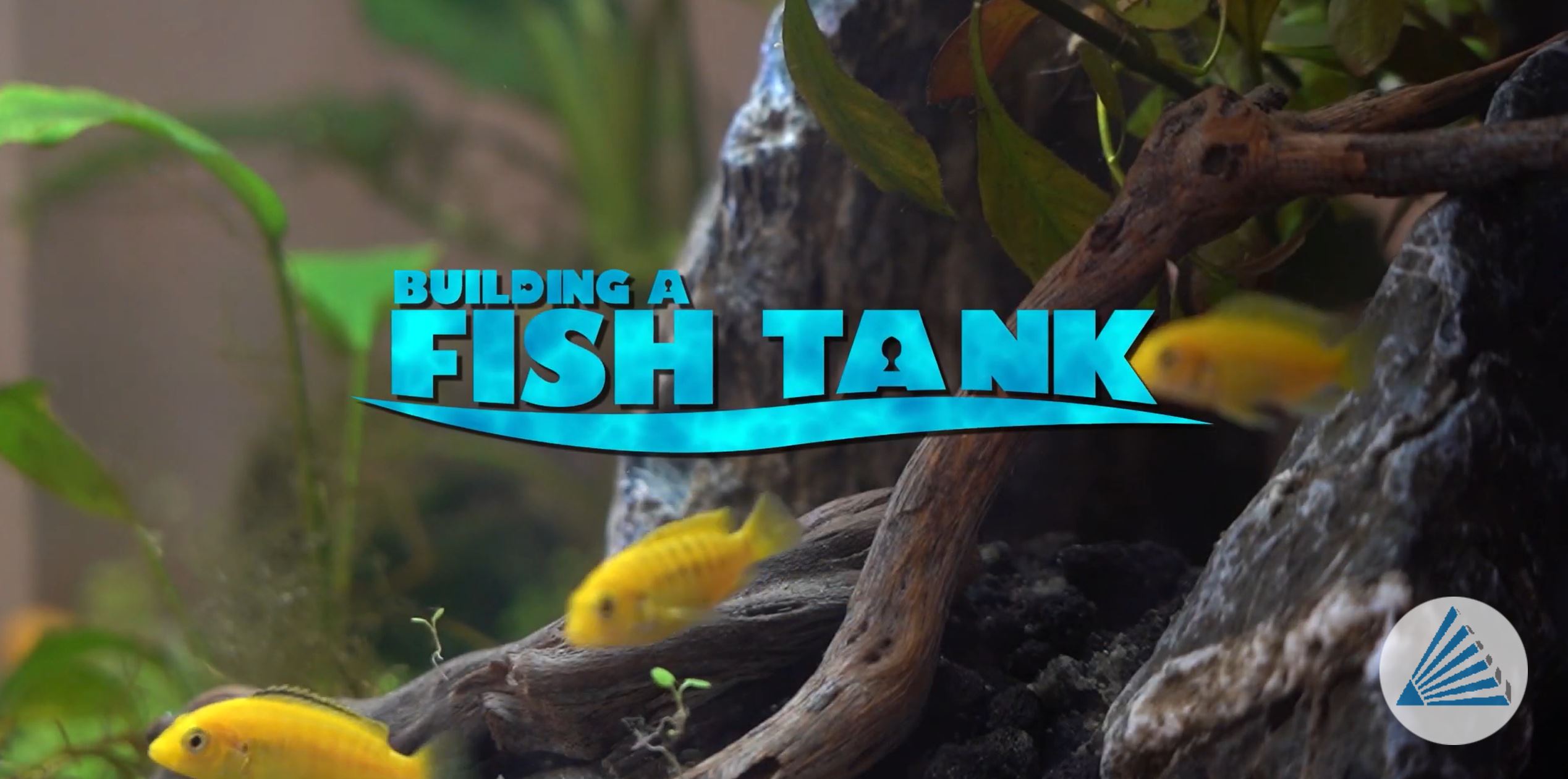 #0104 Acrylic Fish Tank